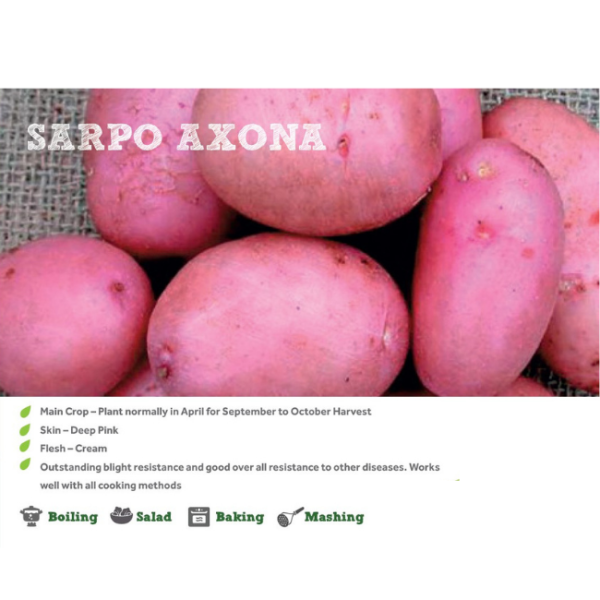 SARPO AXONA SEED POTATOES - Bandon Co-op and Retail Centres, Cork